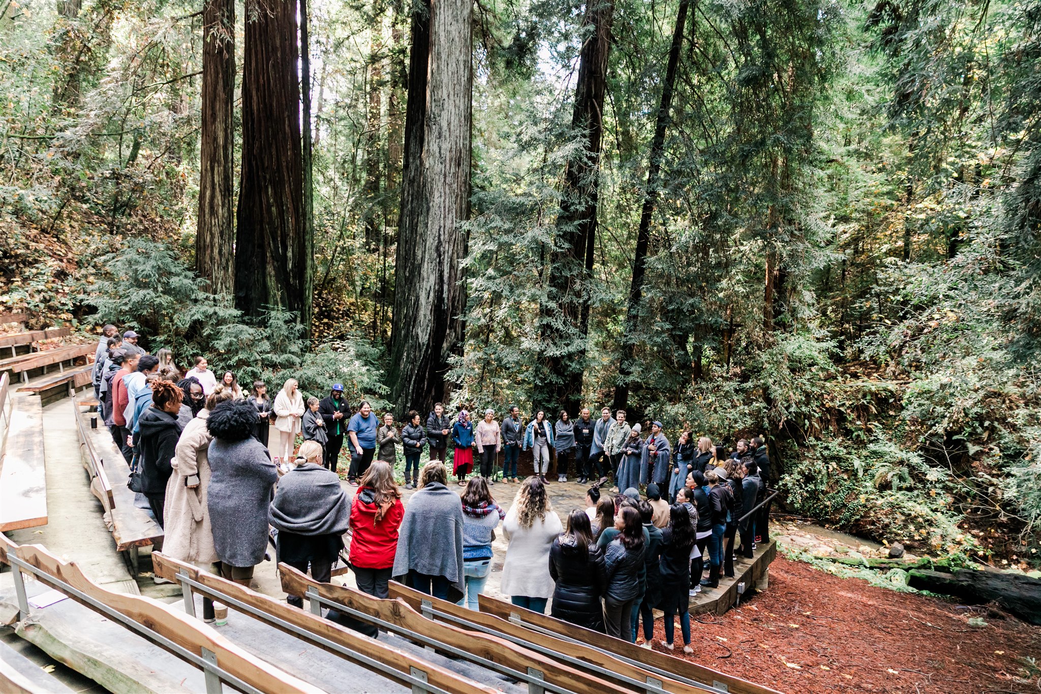 Culture Surge - Compton Foundation - Compton Foundation