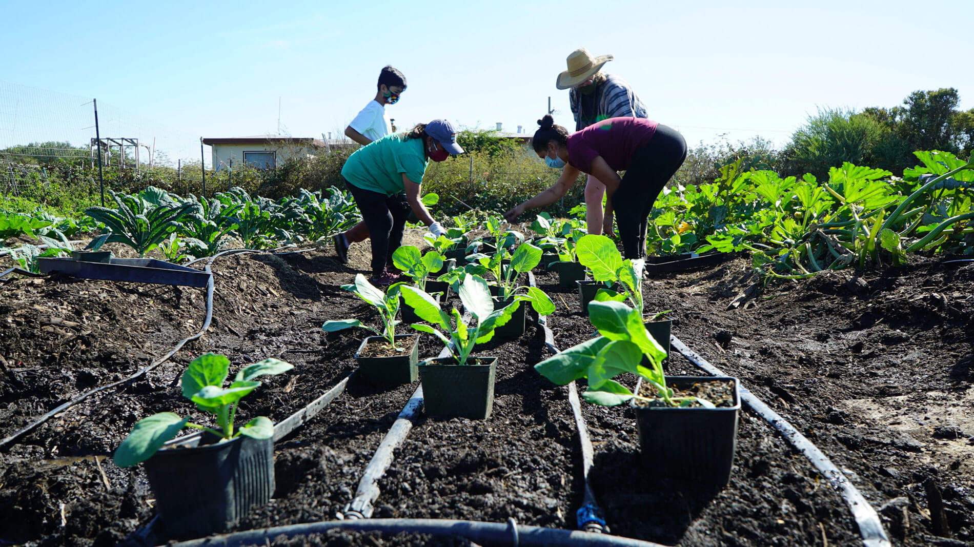 Urban Tilth - Compton Foundation - Compton Foundation